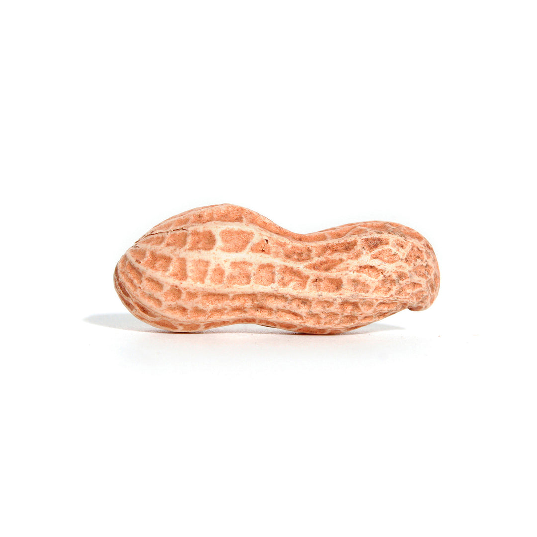 Nuts For Change – 100 Dollar Peanut